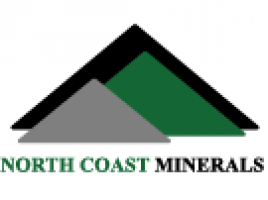 Portfolio Companies - Resilience Capital Partners